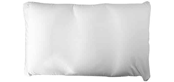 Best Microbead Body Pillow - Pillow Click