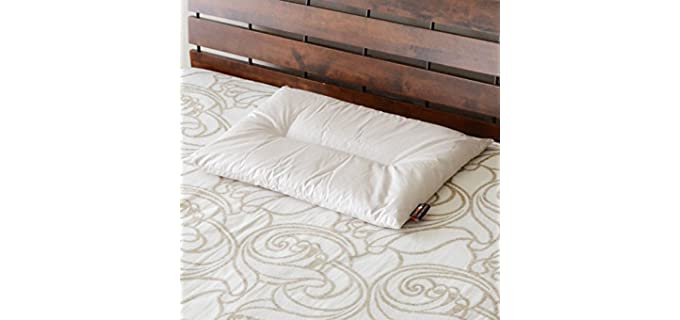 Sobakawa Pillows Reviews (August 2021) - Pillow Click