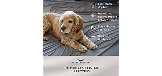 Best 'My Pillow' Alternatives - Pillow Click
